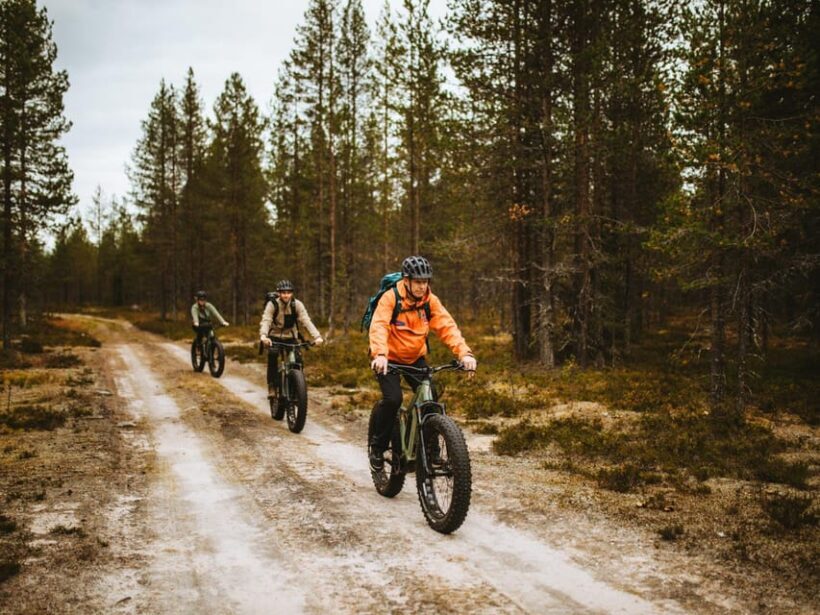 Rovaniemi: Arctic Wilderness & Forests Guided E-Bike Tour - Why Choose This E-Bike Tour in Rovaniemi?