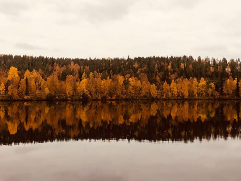 Rovaniemi: Arctic Wilderness & Forests Guided E-Bike Tour - FAQ