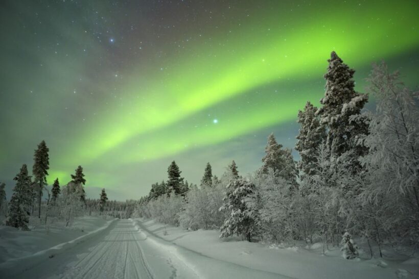 Rovaniemi: Aurora Borealis Snowmobile Safari with Campfire - Key Points