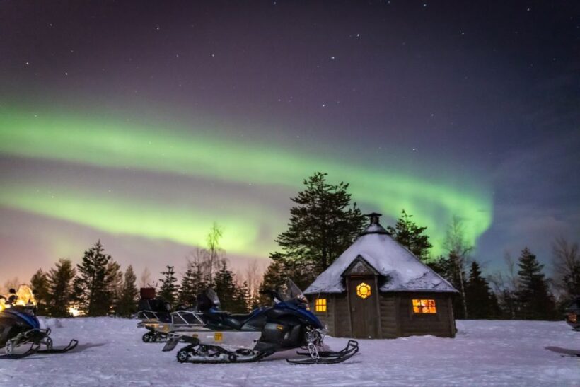 Rovaniemi: Aurora Borealis Snowmobile Safari with Campfire - Who Will Love This Tour?