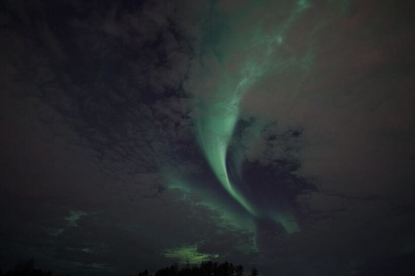 Rovaniemi: Aurora Borealis Tour - FAQ