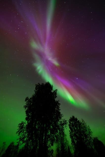 Rovaniemi: Aurora Hunt with Money-Back Guarantee and Photo - FAQ
