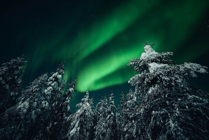 Rovaniemi: Aurora Hunt With Photograph & Money Back Guarantee - Flexible Cancellation Policy