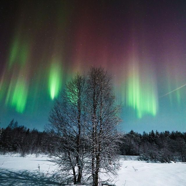 Rovaniemi: Aurora Hunt with Photos and Money Back Guarantee - Ideal Travelers for This Tour