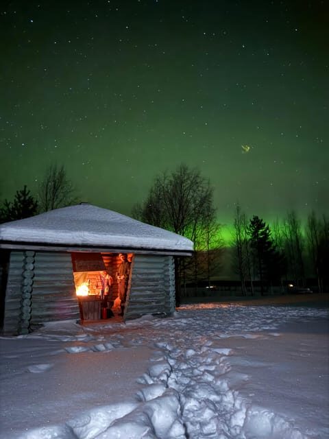 Rovaniemi: Aurora hunting and a fireside BBQ experience - Why This Tour Offers Good Value
