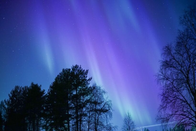 Rovaniemi: Aurora hunting and a fireside BBQ experience - Wrapping It Up