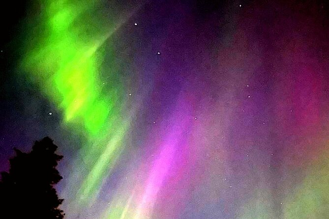 Rovaniemi: Aurora Hunting & Photography Tour - Rovaniemi: Aurora Hunting & Photography Tour – A Detailed Look