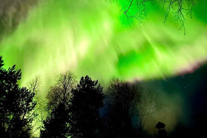 Rovaniemi: Aurora Hunting & Photography Tour - The Sum Up: Who Is This Tour Best For?