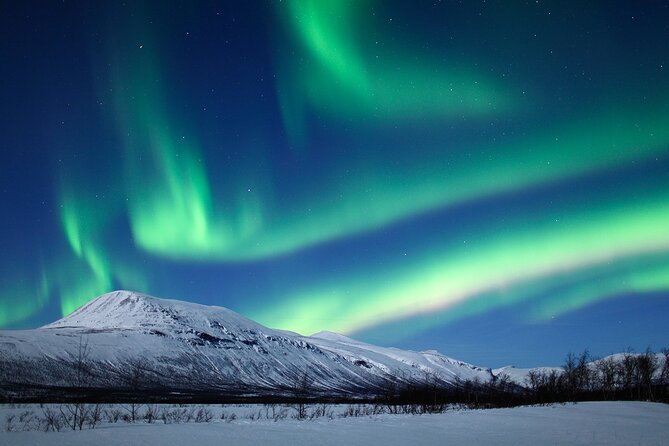 Rovaniemi Aurora Hunting Tour - What’s Praised Most in Reviews?