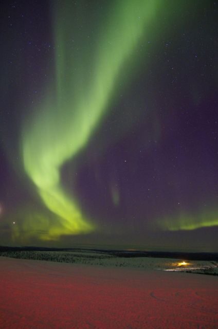 Rovaniemi: Aurora Hunting Tour with Photography by Van - The Sum Up