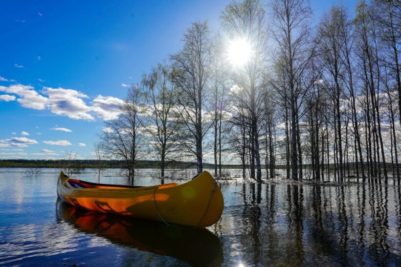 Rovaniemi: Authentic Reindeer Farm & Canoeing - Final Thoughts: Who Should Choose This Tour?