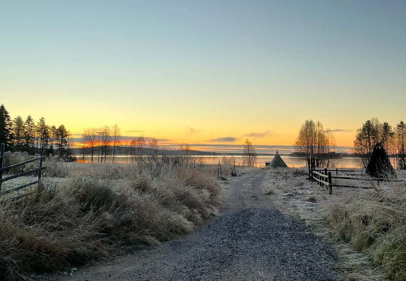 Rovaniemi: Autumn Husky Ride on Wheels - Final Thoughts: Is It Worth It?