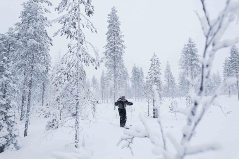 Rovaniemi: Backcountry Skiing Adventure - Who would love this?