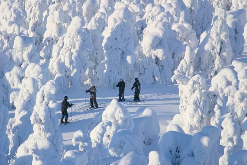 Rovaniemi: Cross Country Wilderness Ski Adventure - What to Expect from the Cross Country Ski Adventure