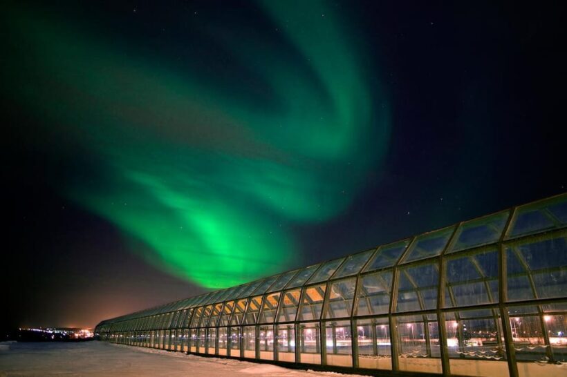 Rovaniemi: Culture Pass to Arktikum, Korundi, and Pilke - Visiting Rovaniemi’s Top Cultural Highlights