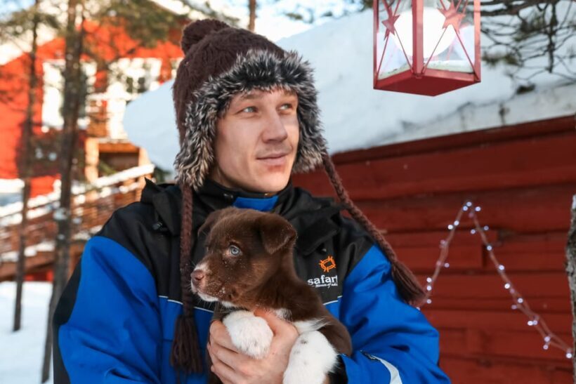 Rovaniemi: Daytime Husky Safari - Introduction