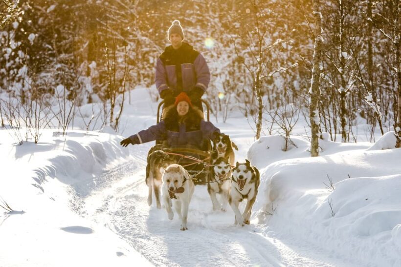 Rovaniemi: Daytime Husky Safari - The Sum Up