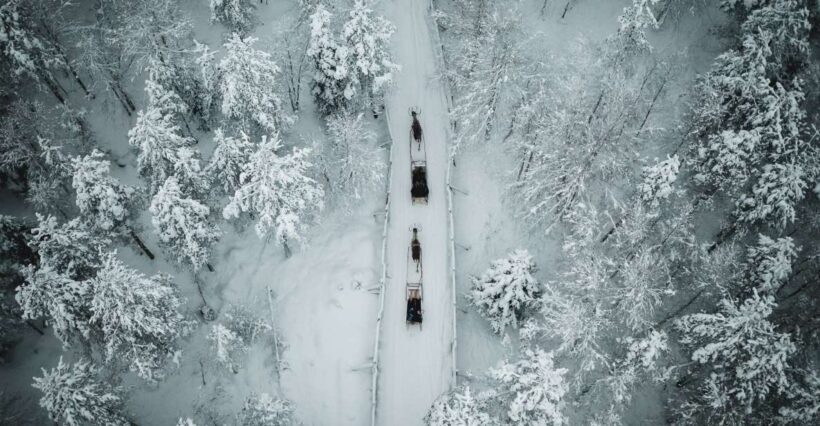 Rovaniemi: Daytime Reindeer Sleigh Ride - The Experience Provider: Safartica