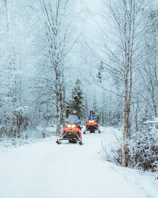 Rovaniemi: Early Winter 2 Hour Snowmobile Safari - Who Will Love This Tour?