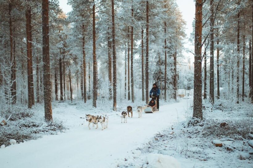 Rovaniemi: Early Winter Husky Sled Ride - Who Should Consider This Tour?