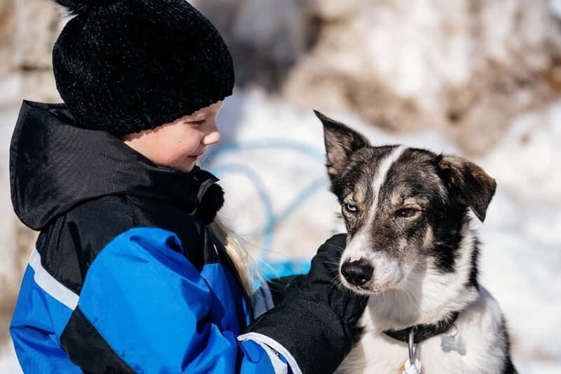 Rovaniemi: Full-Day Snow and Fun Activities - Key Points