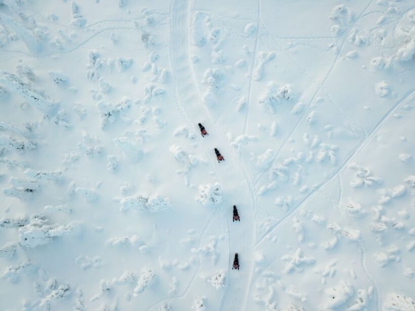 Rovaniemi: Full Day Snowmobile Safari into the Wilderness - Key Points
