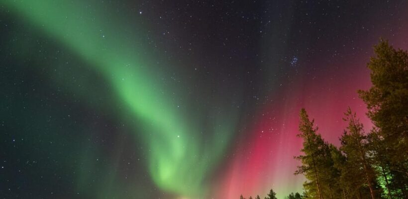 Rovaniemi: Guaranteed Aurora Hunting Tour with Local Guide - Who Should Consider This Tour?