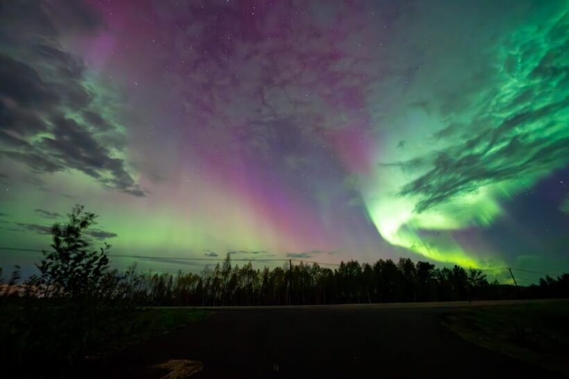 Rovaniemi: Guaranteed Ultimate Aurora Hunt with Photographer - Who Will Love This Tour?