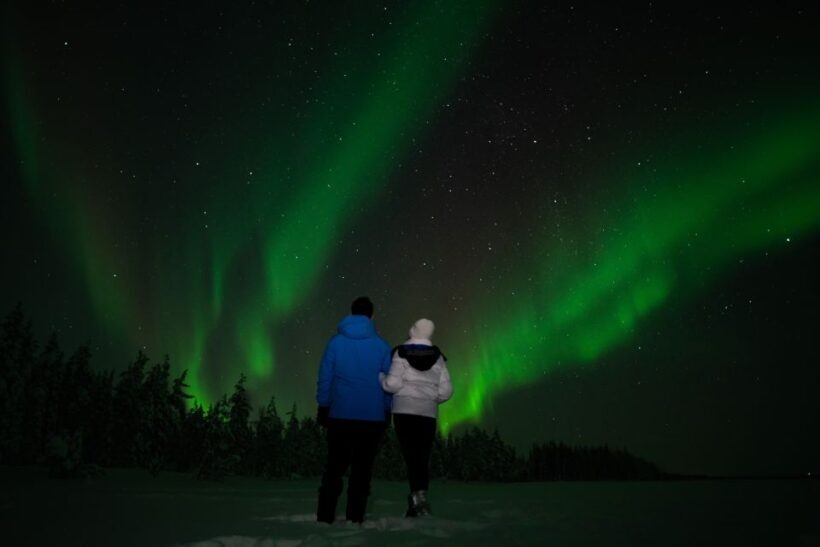 Rovaniemi: Guided Northern Lights Tour - The Practicalities: Booking, Timing, and Value