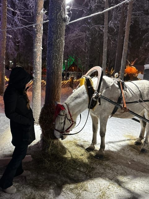 Rovaniemi: Guided Tour of Santa Claus Village - Frequently Asked Questions