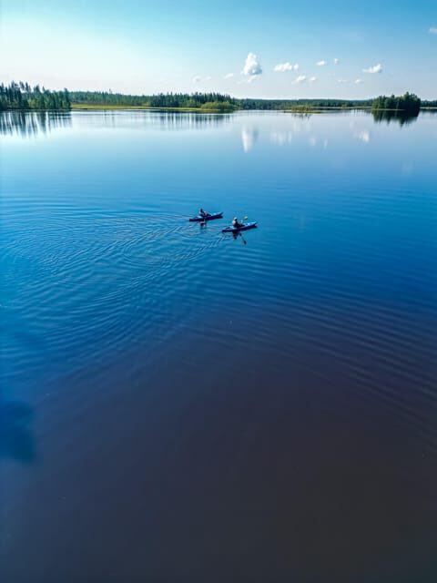 Rovaniemi: Guided Wilderness Kayaking Adventure - Who Should Book This Tour?