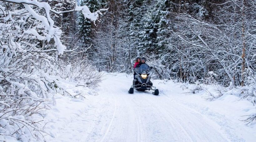 Rovaniemi: Guided Wilderness Snowmobile Safari & Barbeque - Rovaniemi: Guided Wilderness Snowmobile Safari & Barbeque