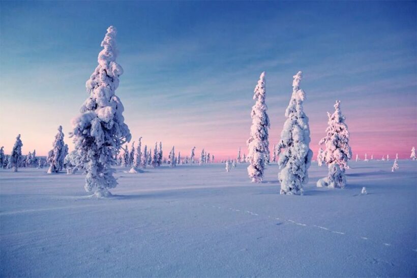 Rovaniemi: Half-Day Snowmobile & Ice Fishing Experience - The Experience Breakdown: What You Can Expect