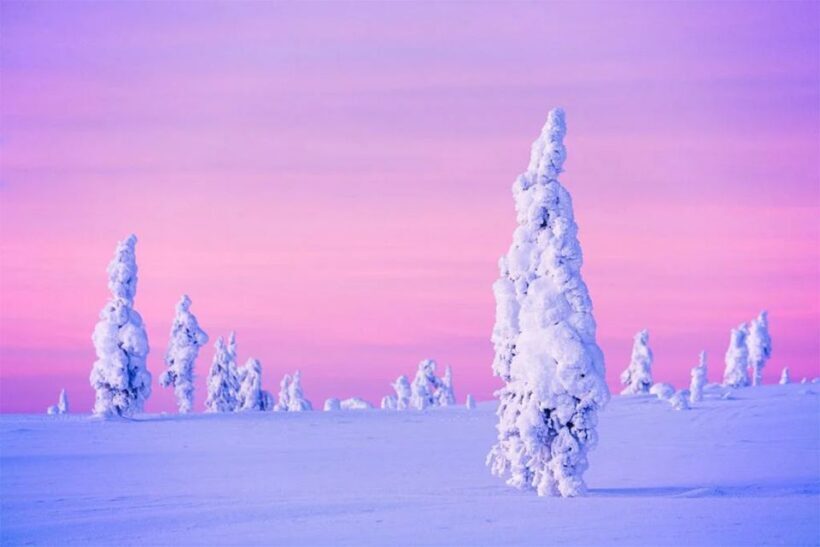 Rovaniemi: Half-Day Snowmobile & Ice Fishing Experience - The Sum Up: Who Will Love This Tour?