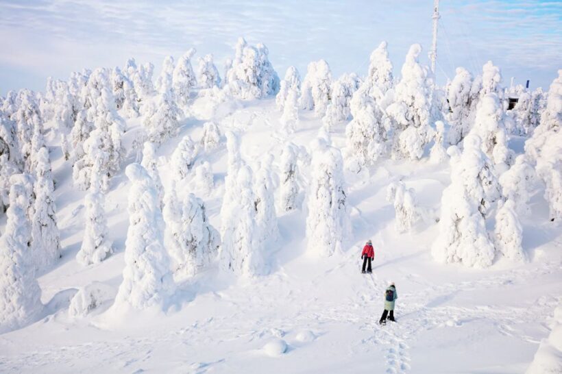 Rovaniemi: Hiking and Snowshoeing Adventure in Lapland - FAQs