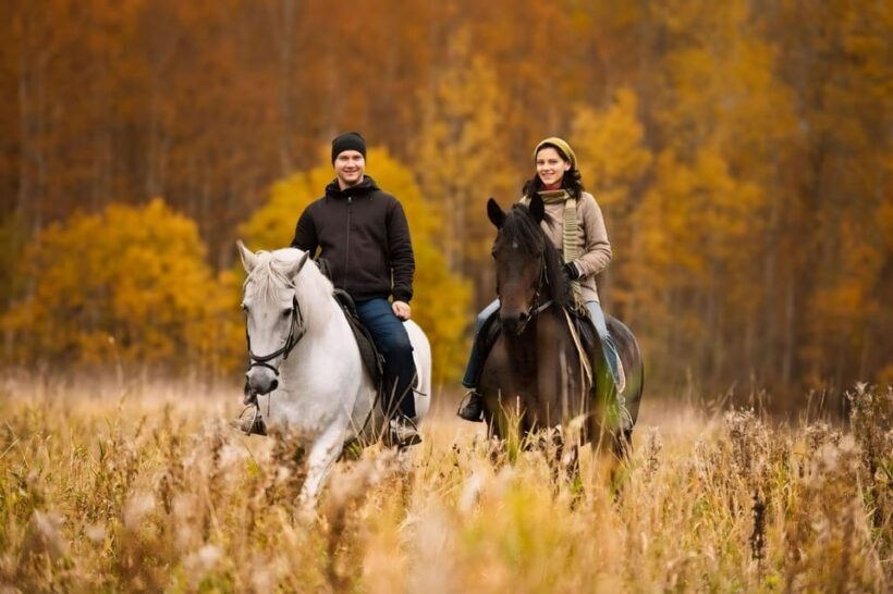 Rovaniemi: Horse Riding in Arctic Wilderness - Rovaniemi: Horse Riding in Arctic Wilderness – A Genuine Ride into Lapland’s Nature