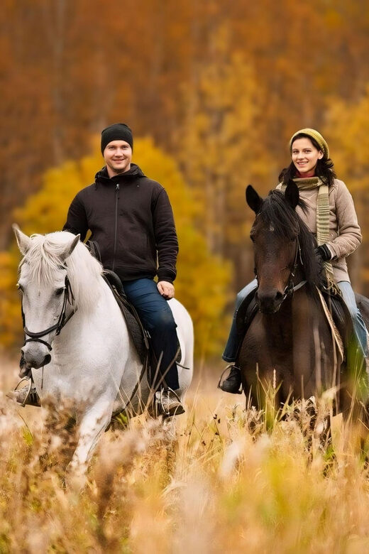 Rovaniemi: Horse Riding in Arctic Wilderness - Who Will Love This Experience?