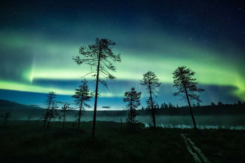 Rovaniemi: Horse Sleigh Ride under the Night Sky - An In-Depth Look at the Rovaniemi Horse Sleigh Ride