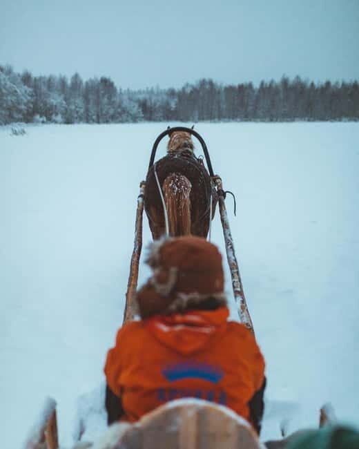 Rovaniemi: Horse Sleigh Ride under the Night Sky - The Sum Up