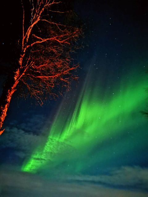Rovaniemi Hunting Aurora at the Best Spots - Rovaniemi Hunting Aurora at the Best Spots: An In-Depth Review