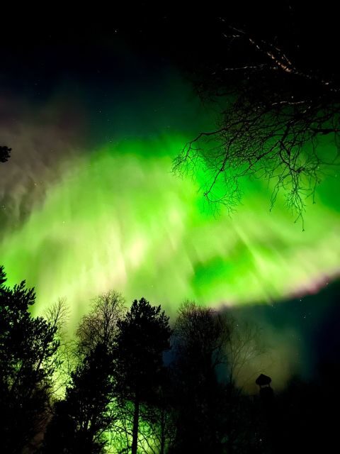 Rovaniemi Hunting Aurora at the Best Spots - Key Points