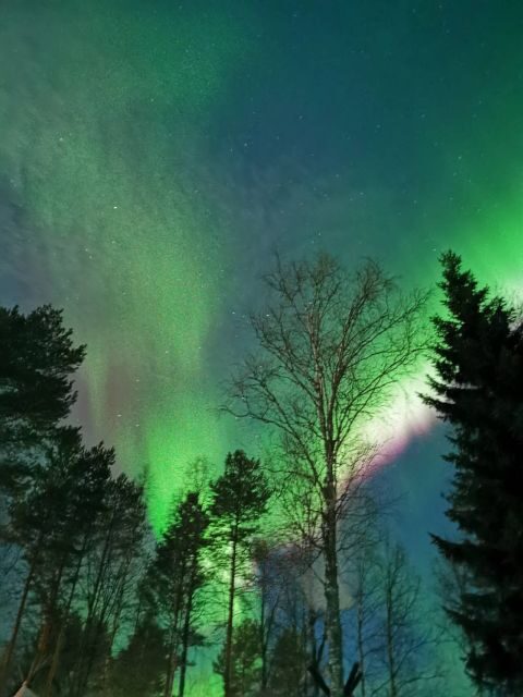 Rovaniemi Hunting Aurora at the Best Spots - Authentic Experiences and Real Reviews
