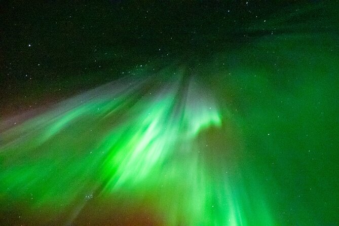 Rovaniemi Hunting Aurora at the Best Spots - Who Is This Tour Best For?