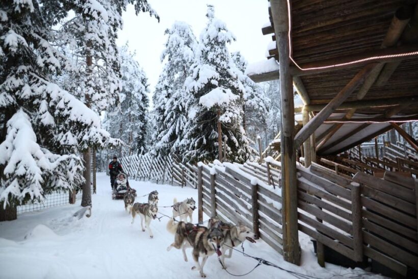 Rovaniemi: Husky and reindeer farm visit with sleigh rides - The Value of This Arctic Experience