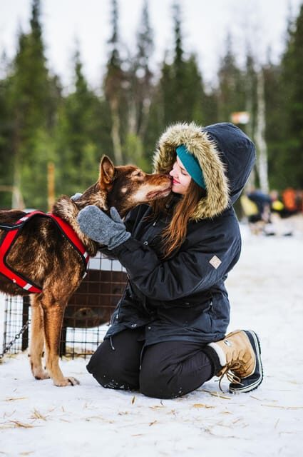 Rovaniemi: Husky and Reindeer farm with sleigh ride - Practical Details and Tips