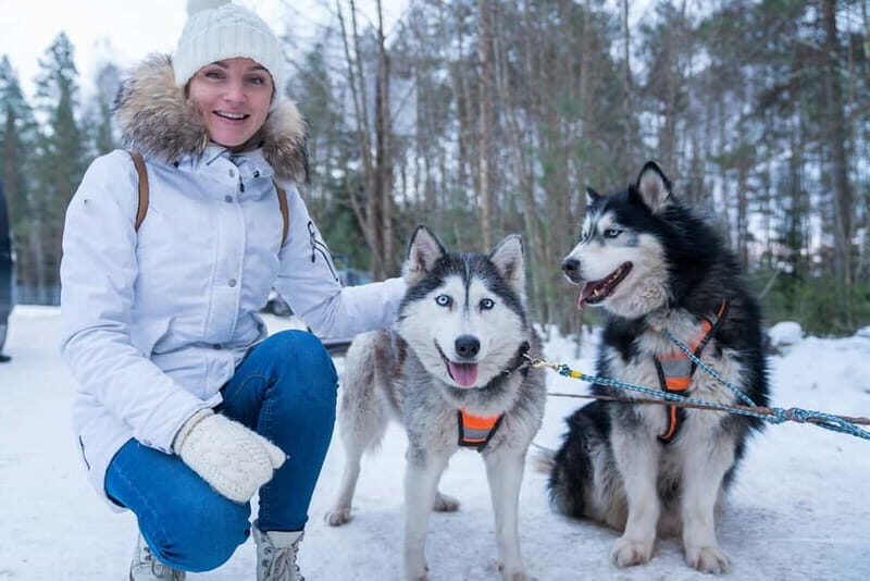 Rovaniemi: Husky Farm and Reindeer Experience - Key Points