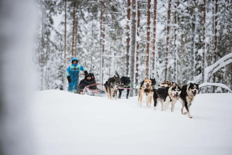 Rovaniemi: Husky Farm and Reindeer Experience - Authenticity and Practical Tips