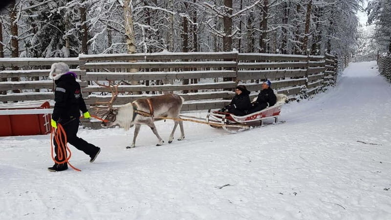 Rovaniemi: Husky Farm and Reindeer Experience - The Sum Up