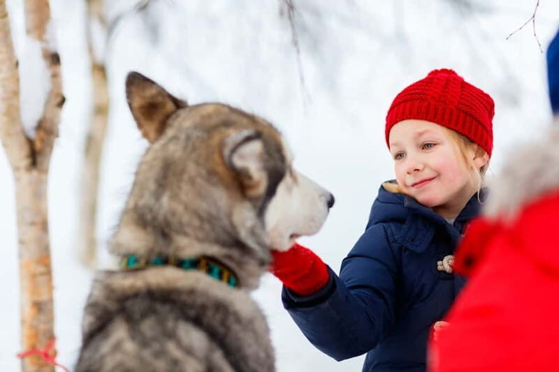 Rovaniemi: Husky Farm and Reindeer Experience - FAQ