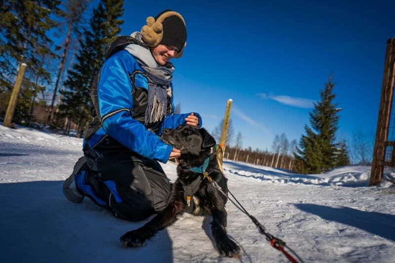 Rovaniemi: Husky Safari & Campfire BBQ  610 km SelfDrive - The Experience in Detail: What to Expect